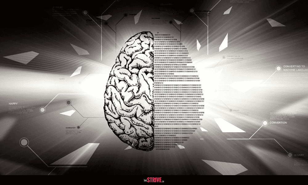 10 Effective Ways To Increase Your Memory Power The STRIVE