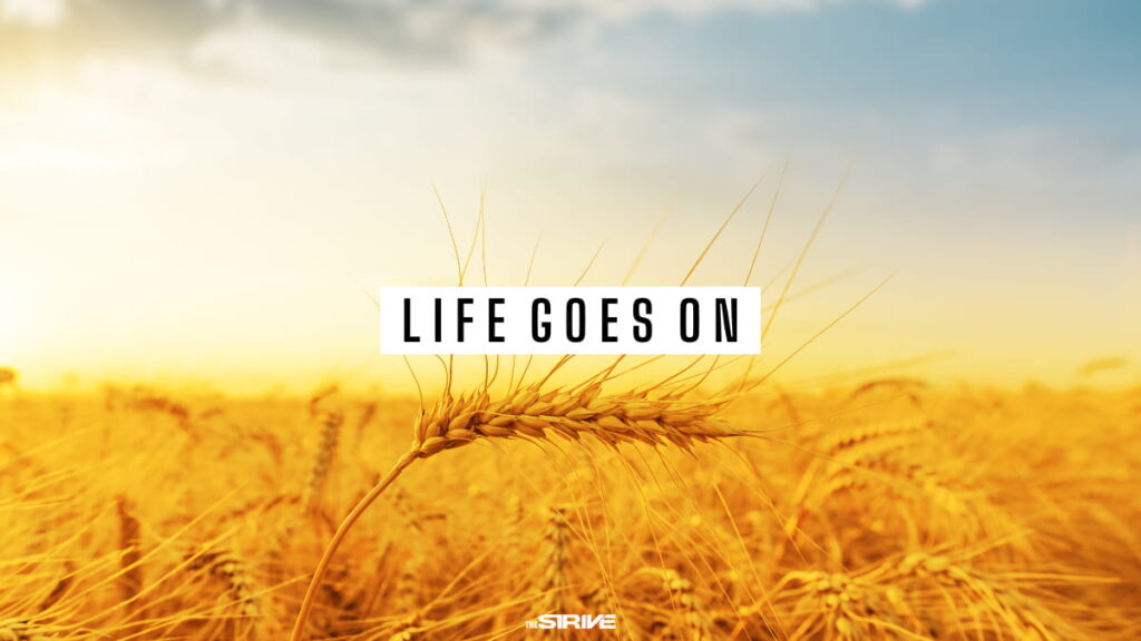 100+ Life Goes On Quotes to Keep You Inspired For Your Better Future