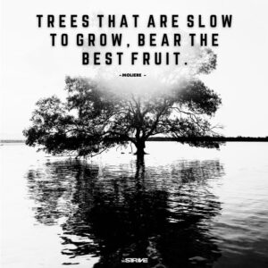 35+ Inspirational Quotes on Patience and Success - The STRIVE