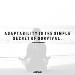 35+ Best Go With The Flow Quotes - The STRIVE