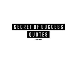7 Secrets of Success That Will Elevate Your Life - The STRIVE